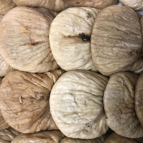 Online Store – Teitel Brothers