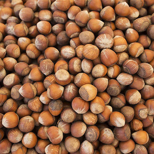 Products – Teitel Brothers